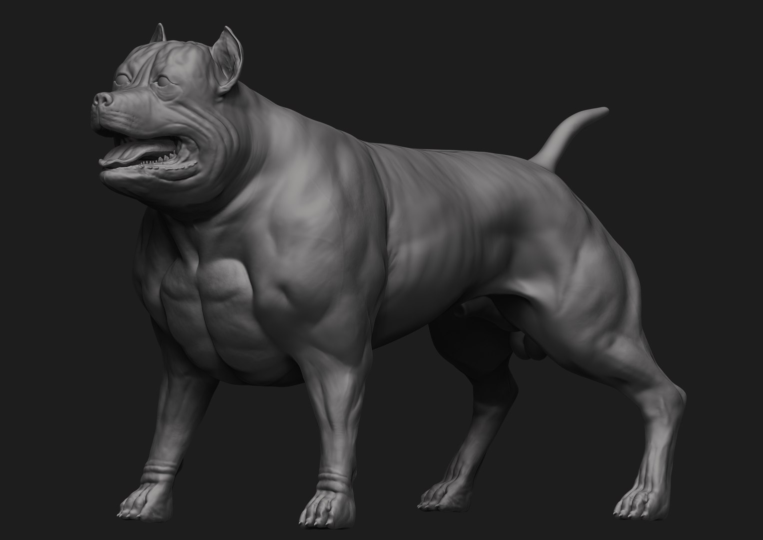 3D American Bully Bust 3D Print Model - TurboSquid 2120200