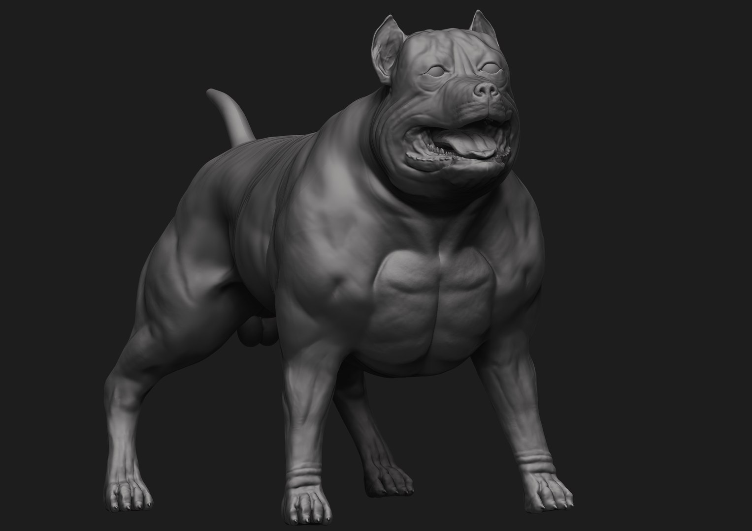 3D American Bully Bust 3D Print Model - TurboSquid 2120200