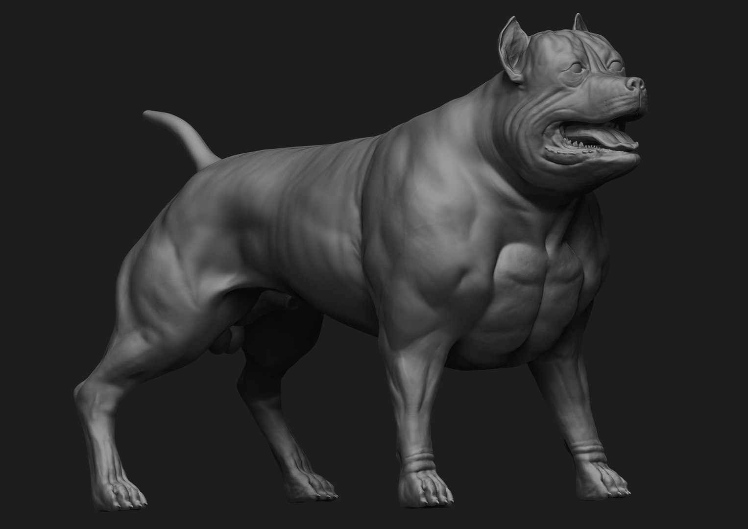 3D American Bully Bust 3D Print Model - TurboSquid 2120200