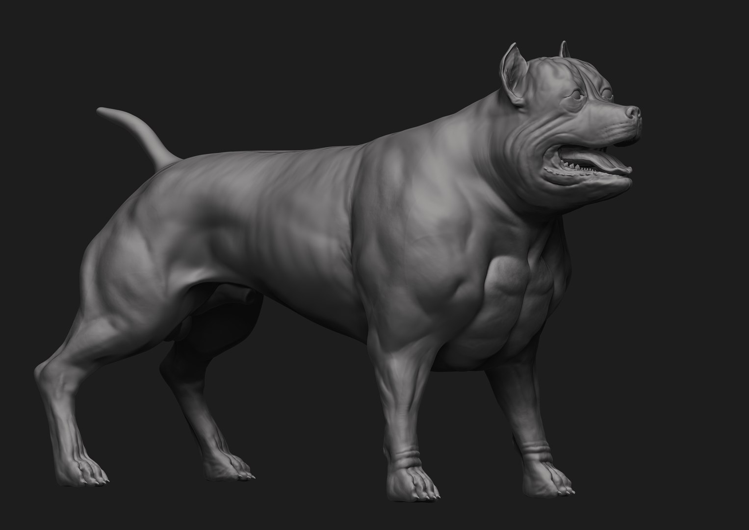 3D American Bully Bust 3D Print Model - TurboSquid 2120200