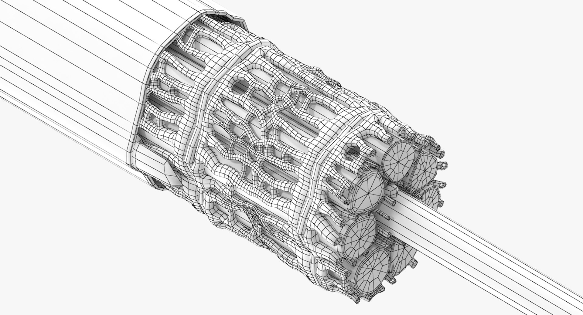 Muscle Cross Section Obj
