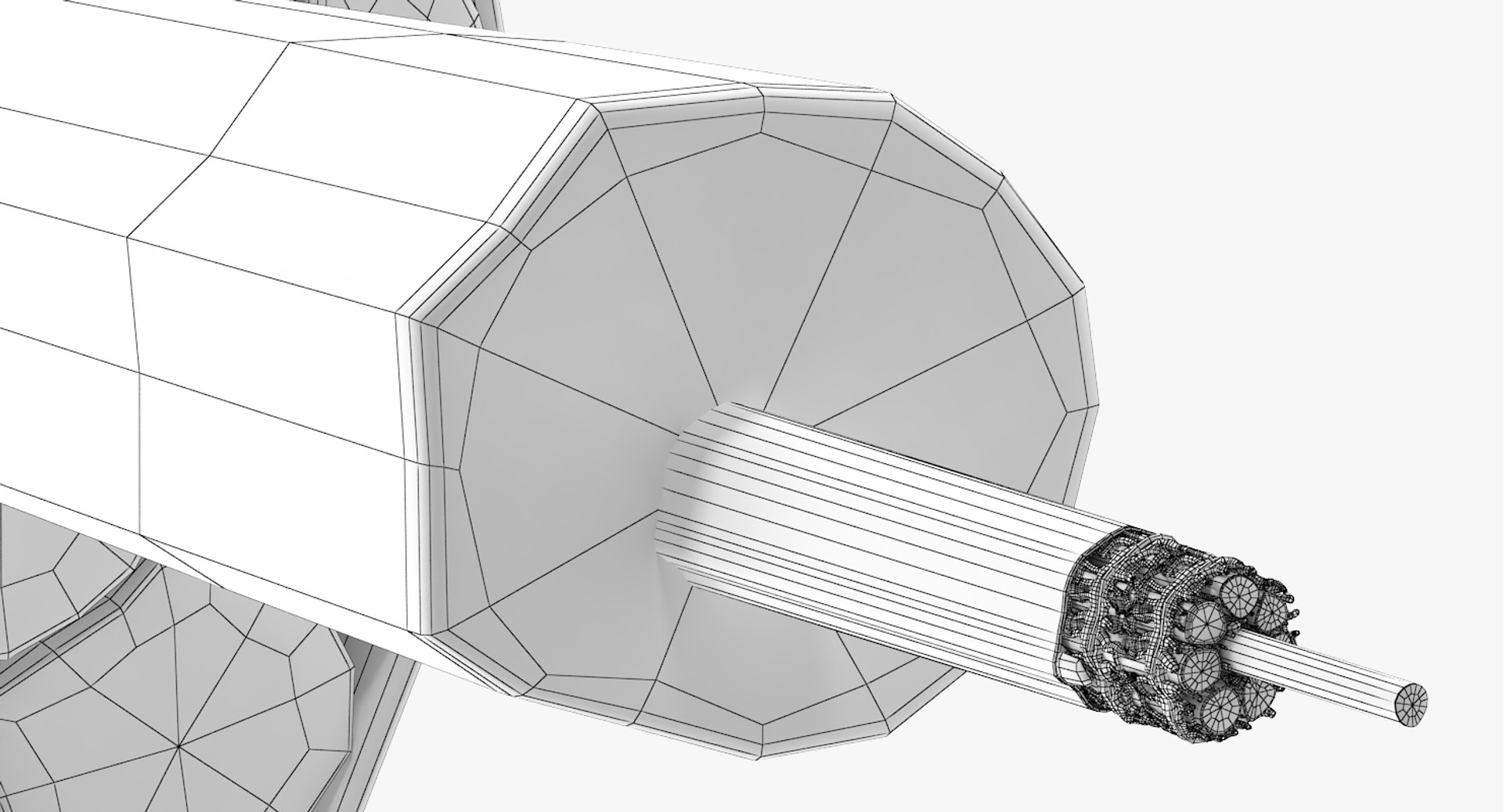Muscle Cross Section Obj