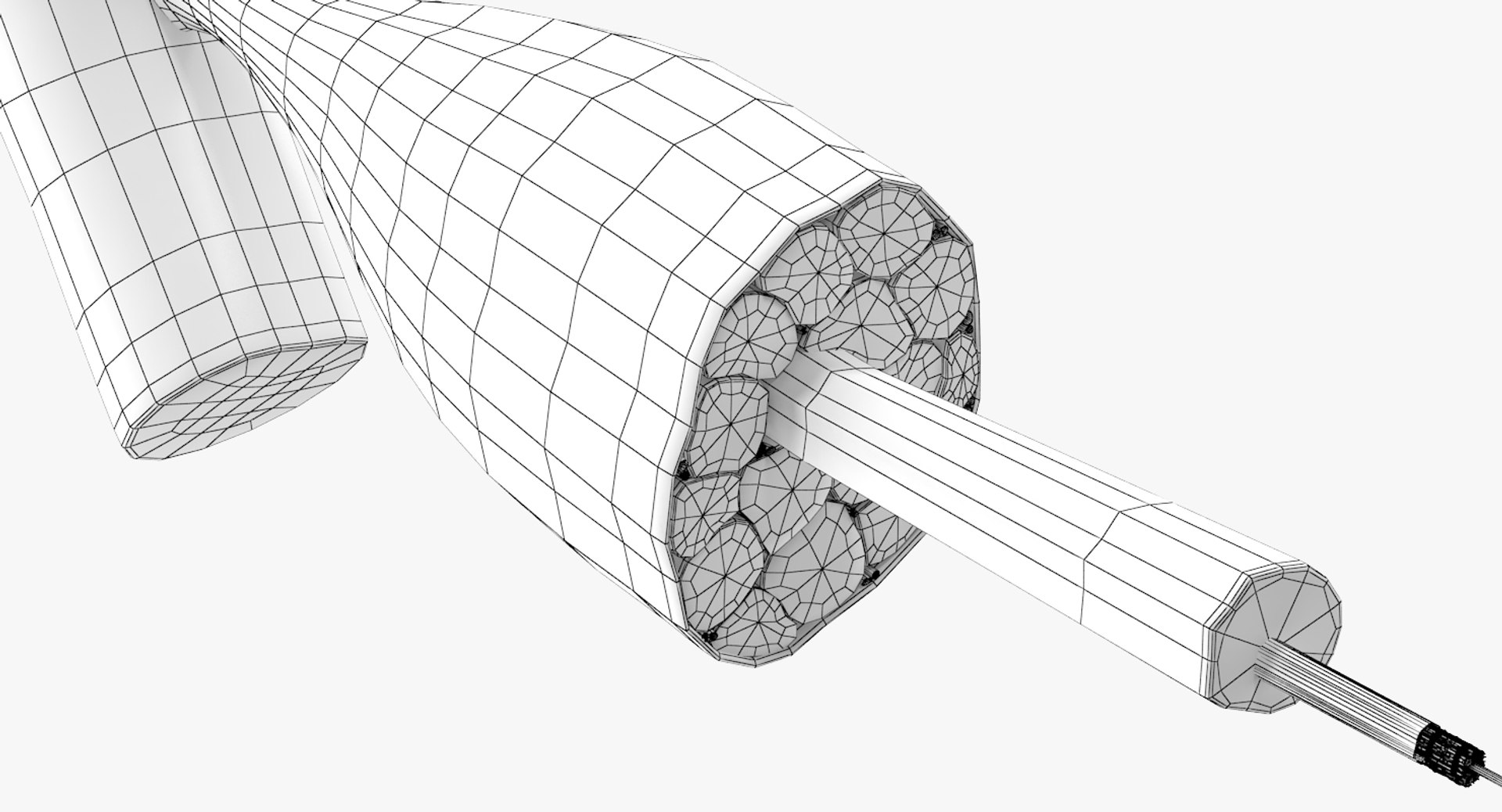 Muscle Cross Section Obj