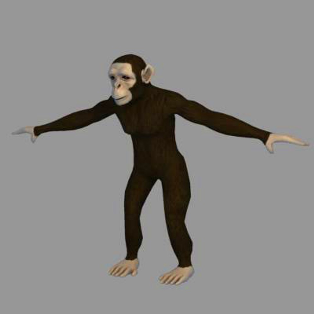 3d monkey model
