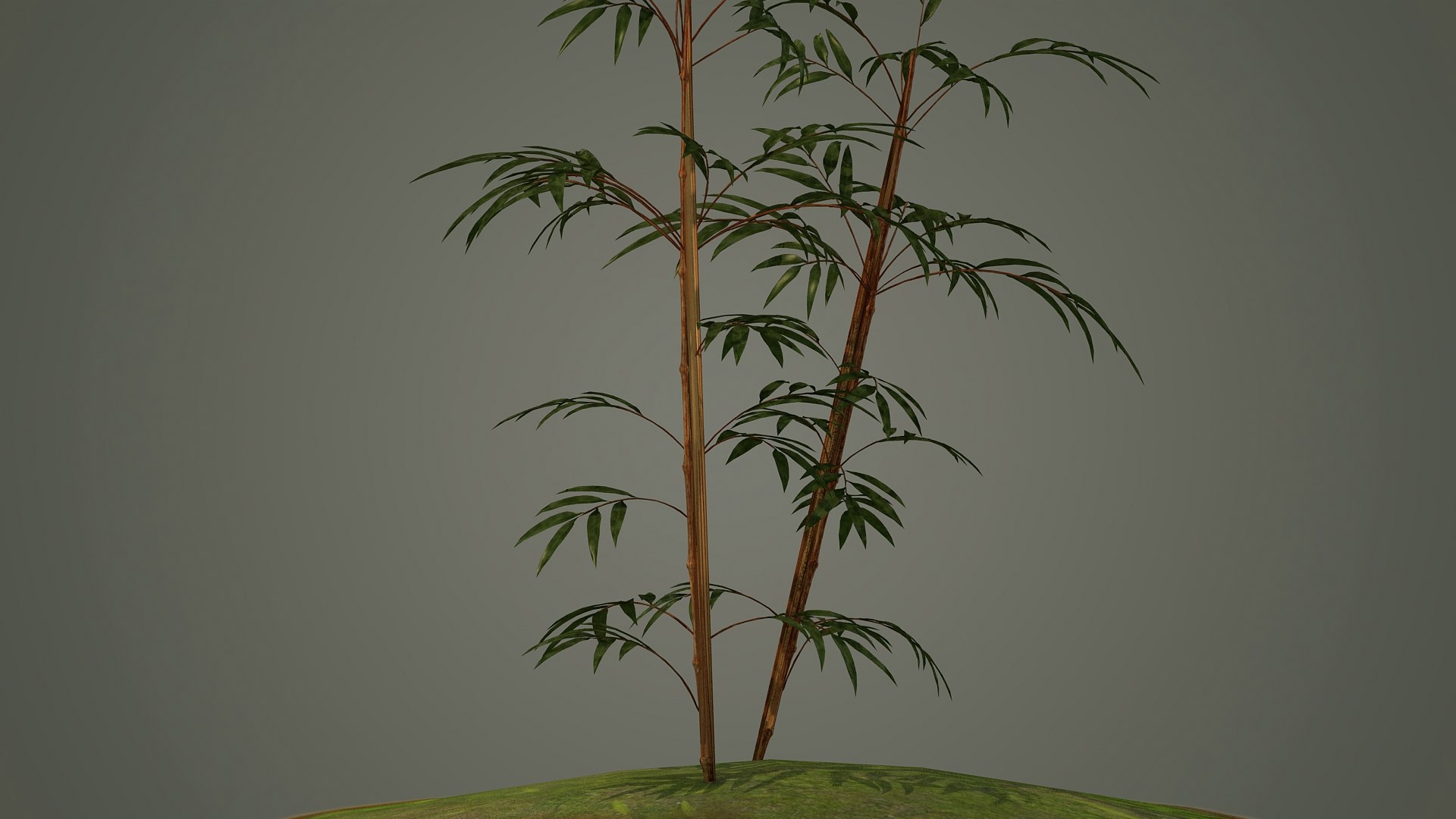 Tree Bamboo Cartoon Handpainted Visualization Stylized Plant Model ...