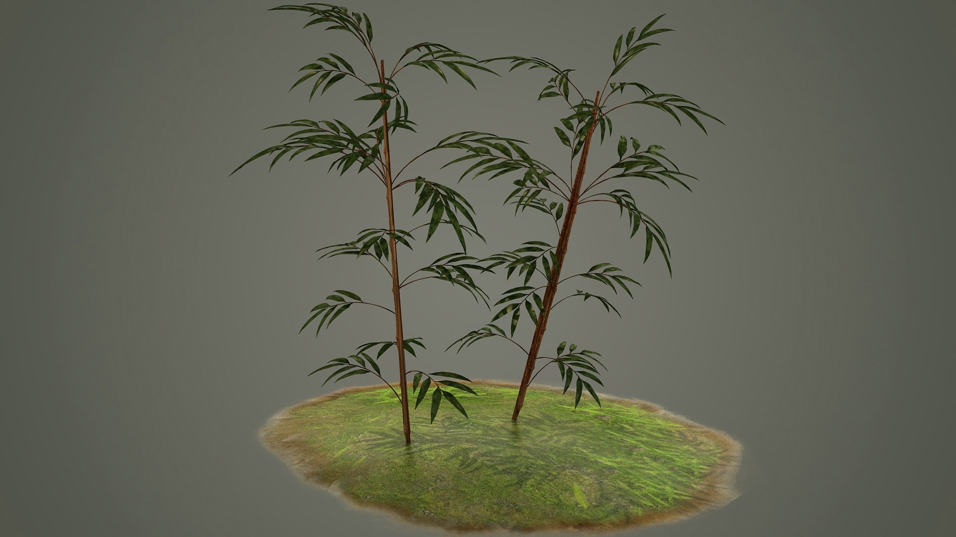 Tree Bamboo Cartoon Handpainted Visualization Stylized Plant Model ...