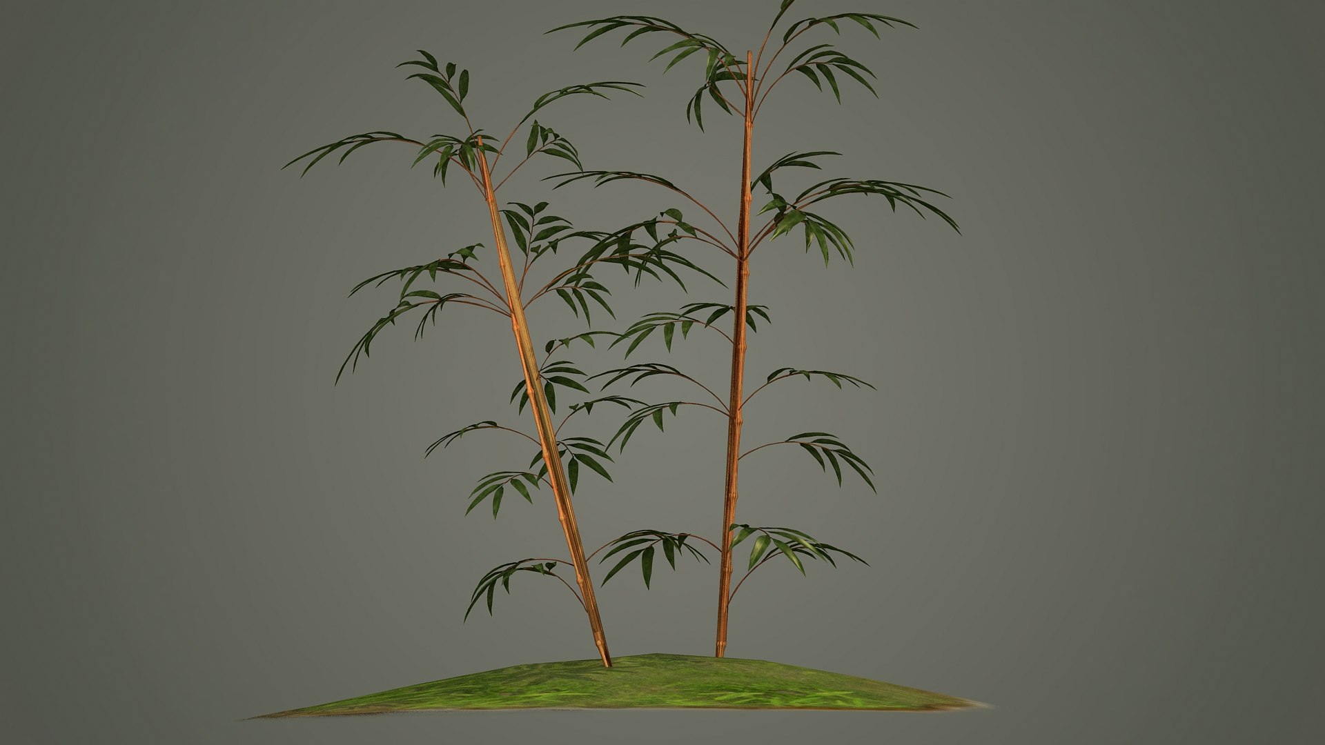 Tree Bamboo Cartoon Handpainted Visualization Stylized Plant Model ...