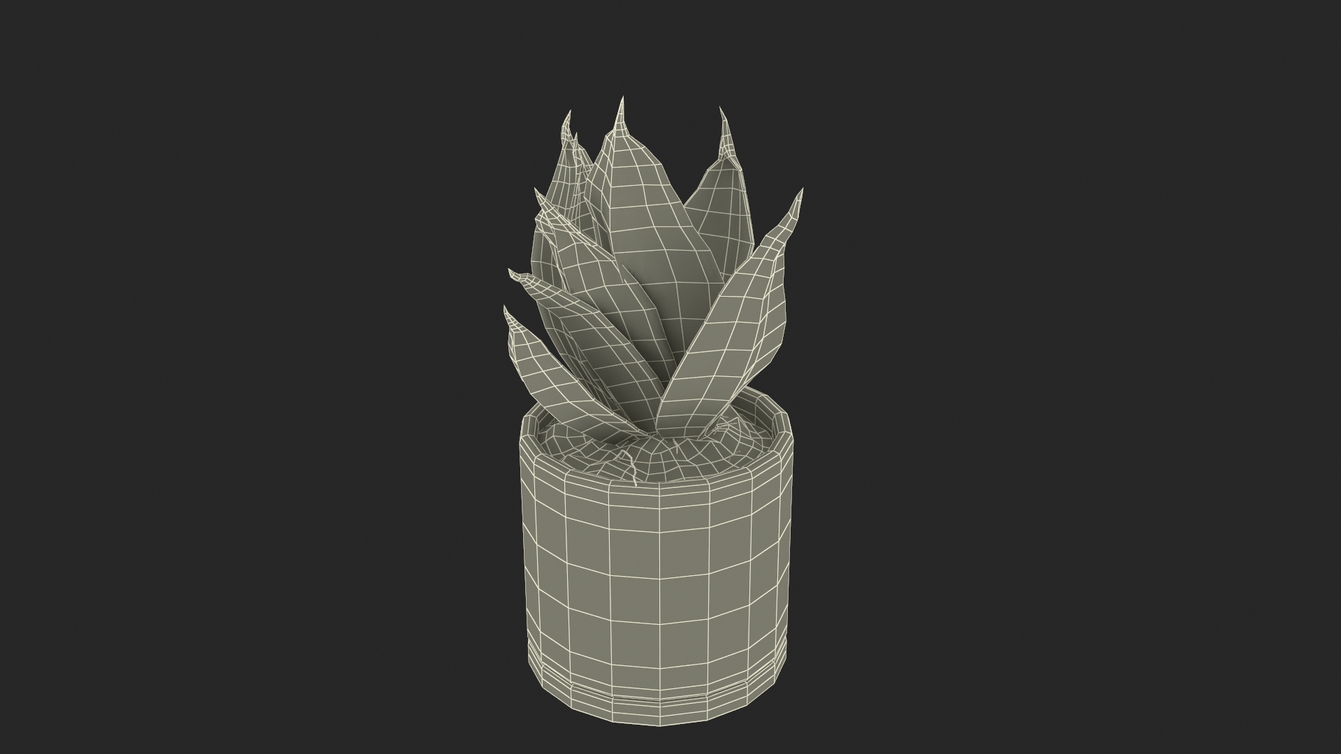 3D Variegated Snake Plant - TurboSquid 2119213