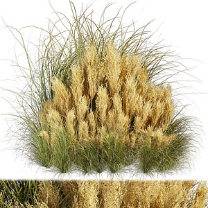 Grasses AutoCAD drawing Models for Download | TurboSquid