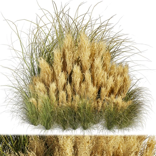 modelo 3d Collection plant vol 509 - grass - Switchgrass - Northwind ...