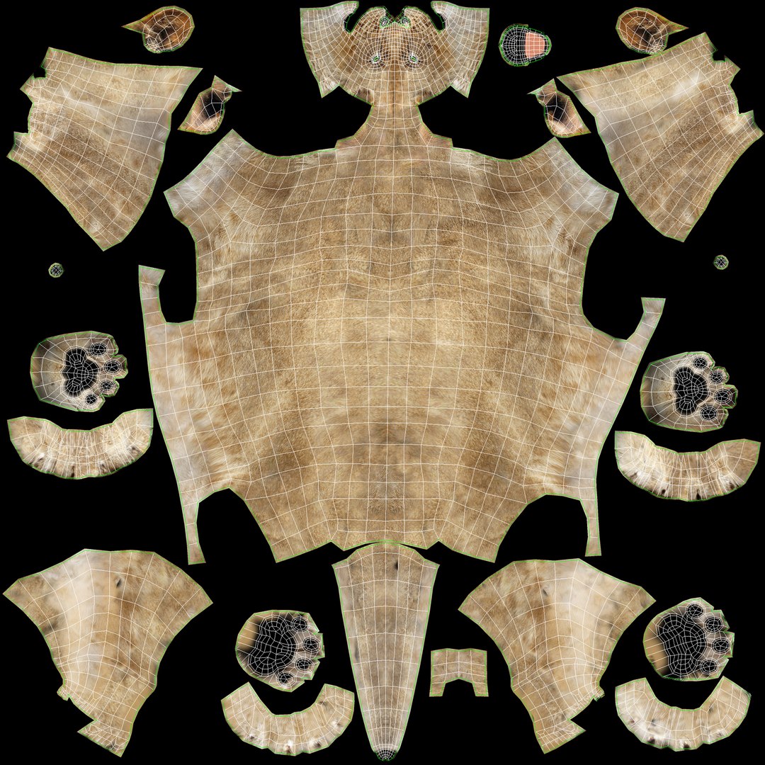 lioness 1 rigged lion 3d model