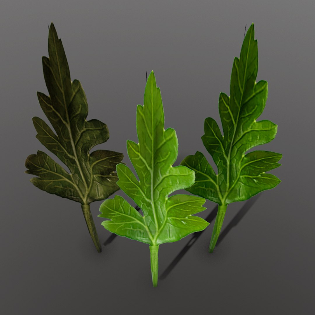 3D Parsley Ready Games Model - TurboSquid 1289447
