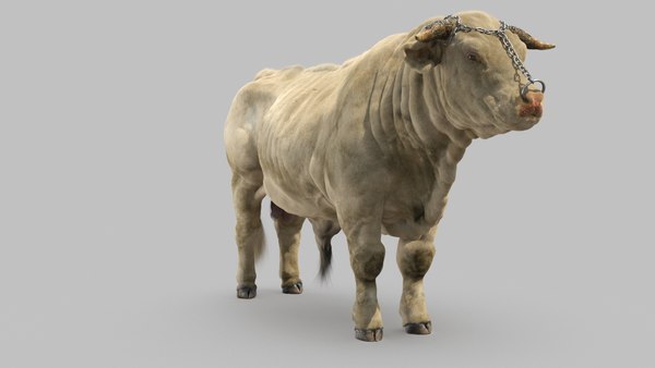 modelo 3d Toro - TurboSquid 1809854