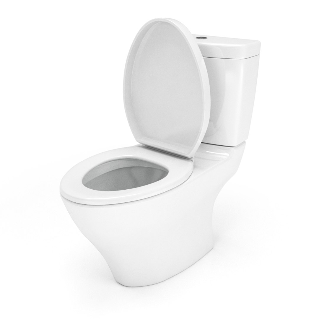 3d Aquia Ii Toilet Toto Model