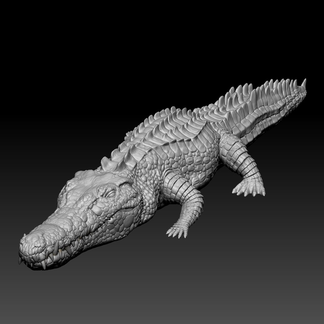 Ztl 3D - TurboSquid 1159470