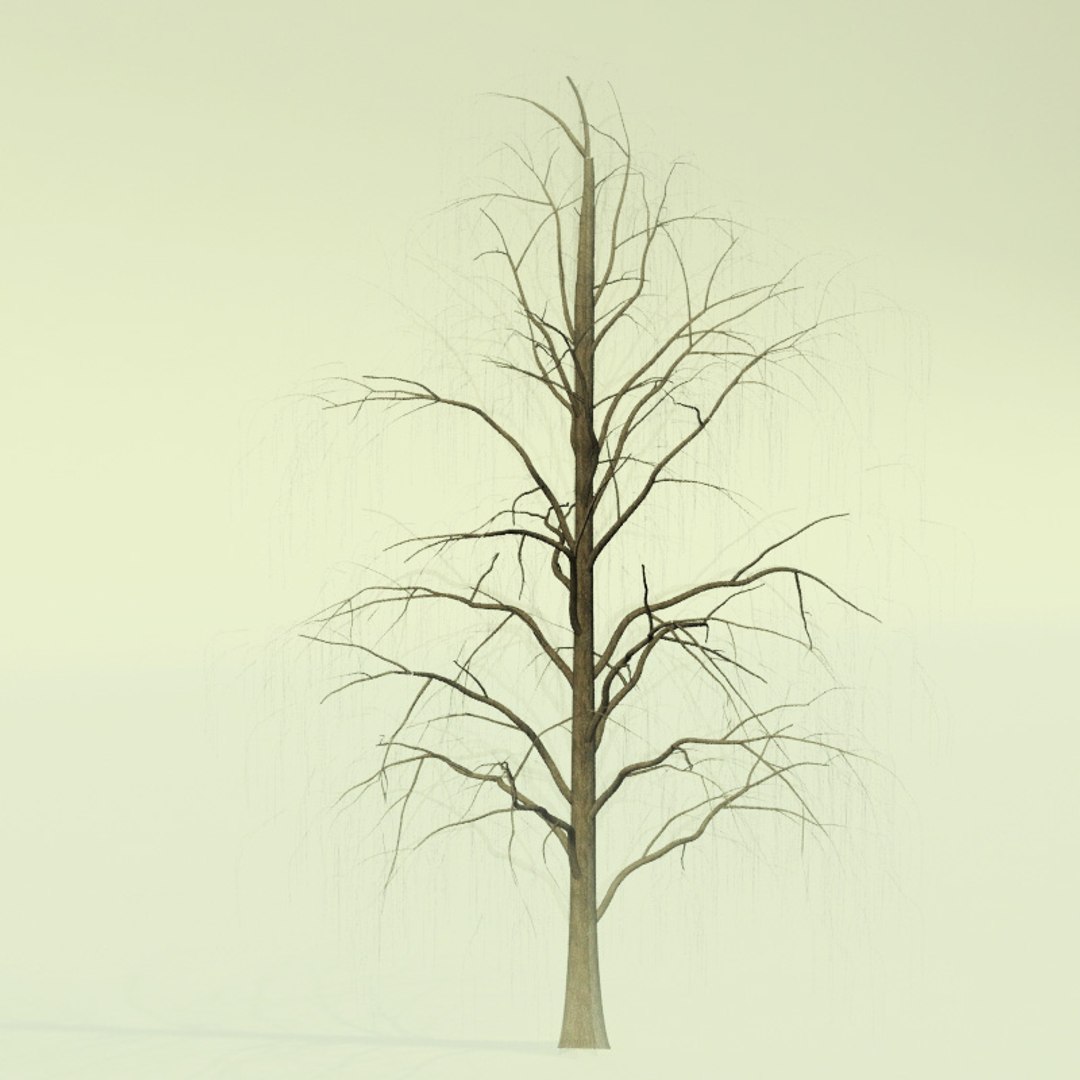 3d model trees games willow