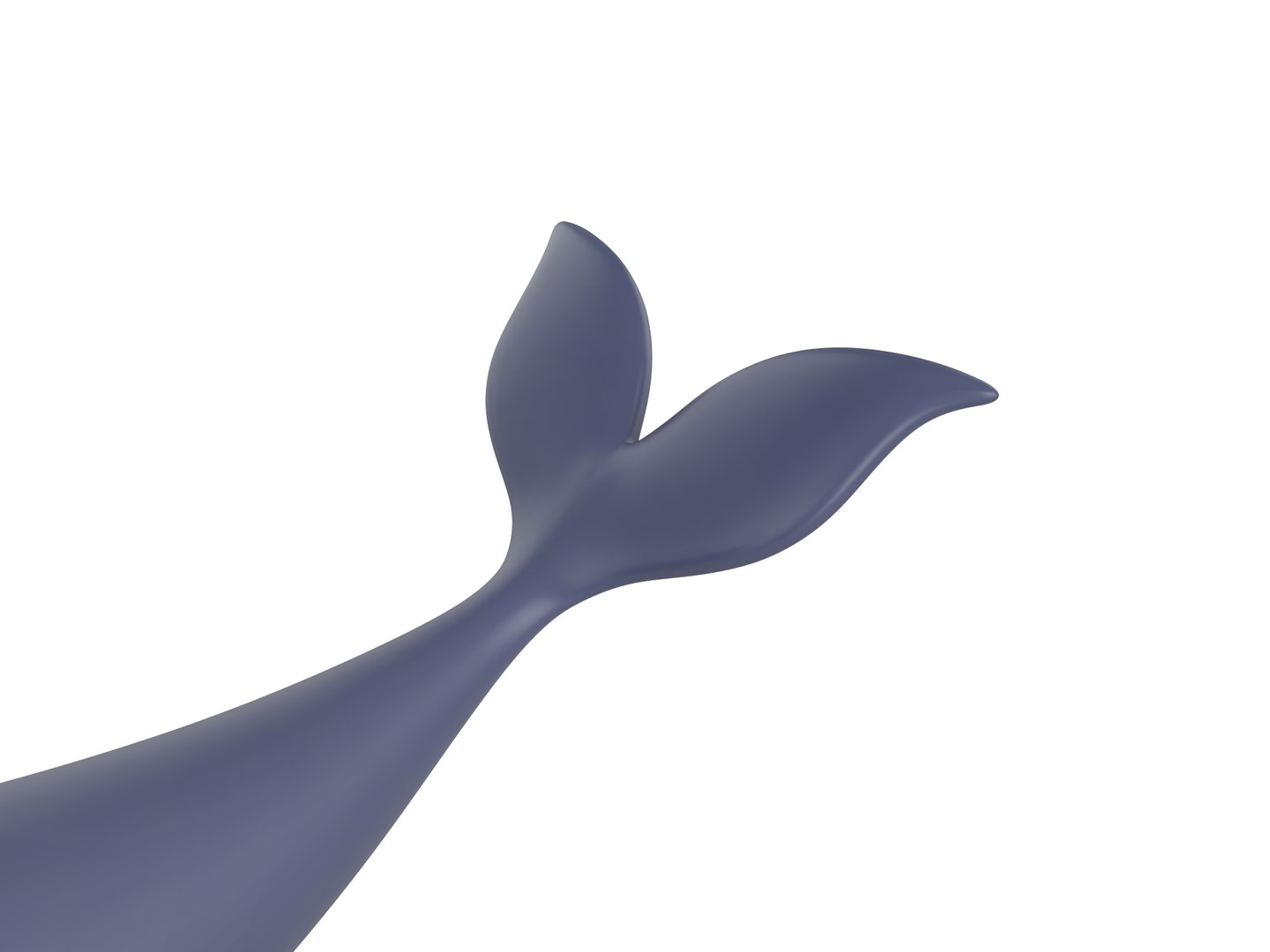 Character283 Narwhal 3D Model - TurboSquid 2204161