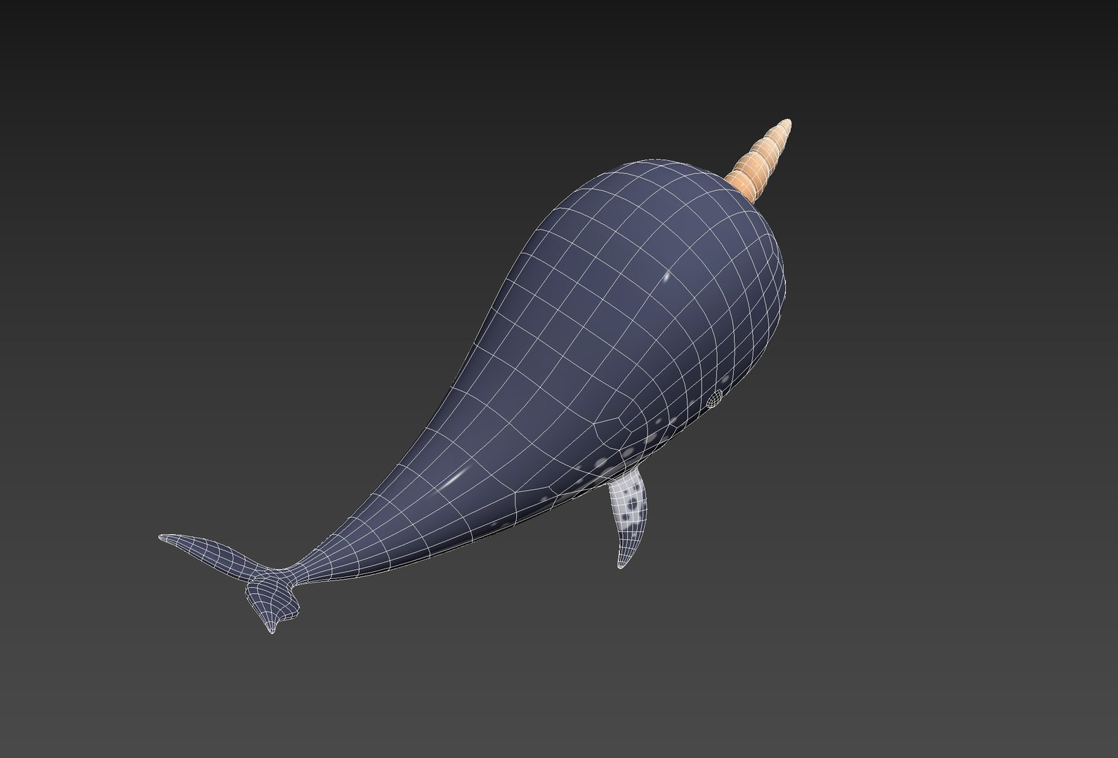 Character283 Narwhal 3D Model - TurboSquid 2204161