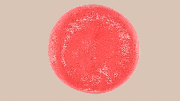 Blood Cells 3D - TurboSquid 1784448