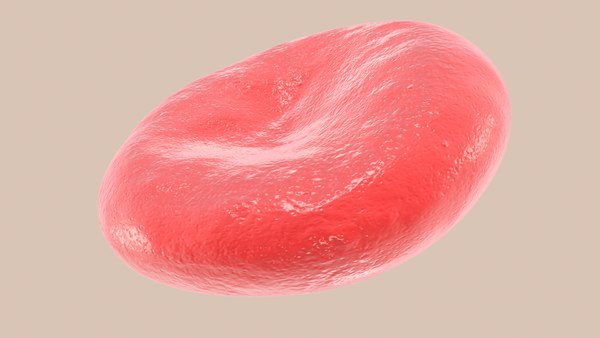 Blood Cells 3D - TurboSquid 1784448