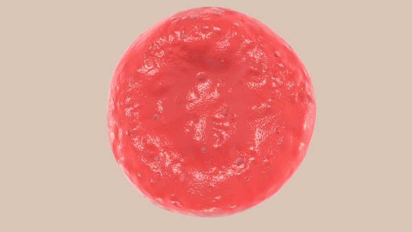 Blood Cells 3D - TurboSquid 1784448
