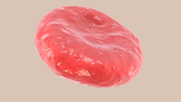 Blood Cells 3D - TurboSquid 1784448