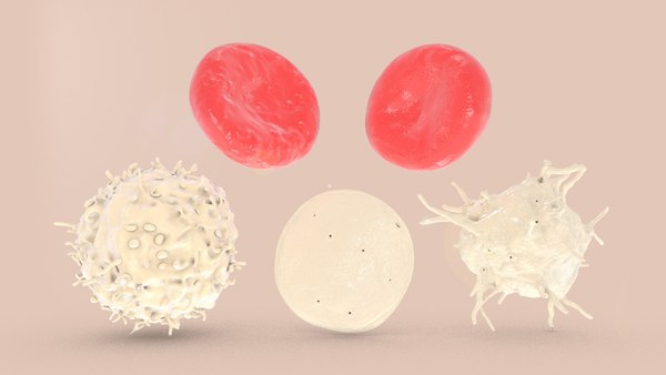Blood Cells 3D - TurboSquid 1784448