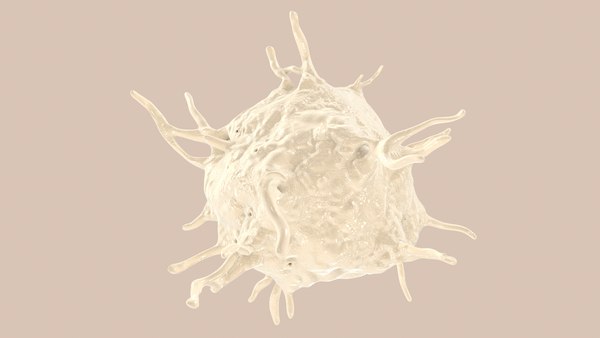Blood Cells 3D - TurboSquid 1784448