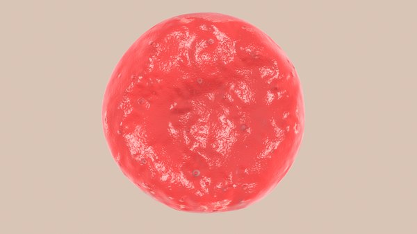 Blood Cells 3D - TurboSquid 1784448