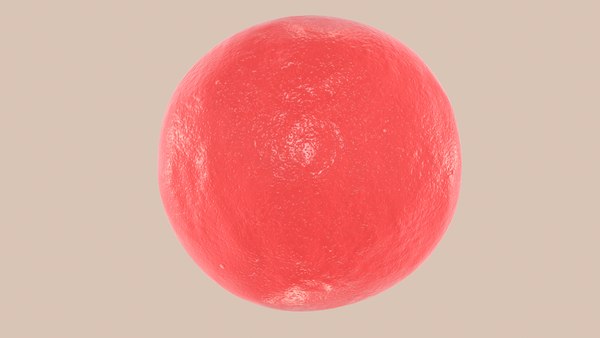 Blood Cells 3D - TurboSquid 1784448