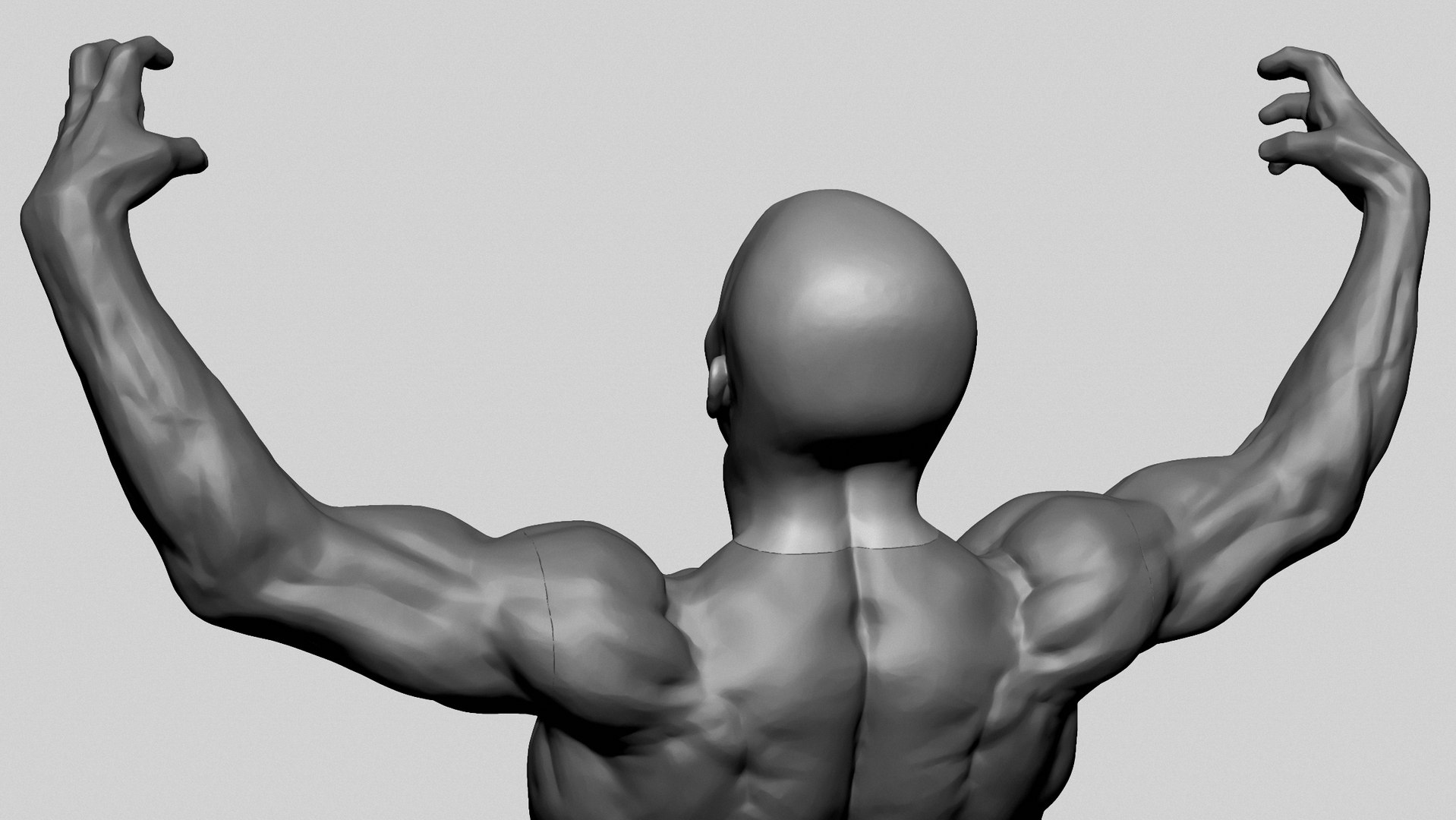 Human Anatomy Printable A 3D - TurboSquid 2202888