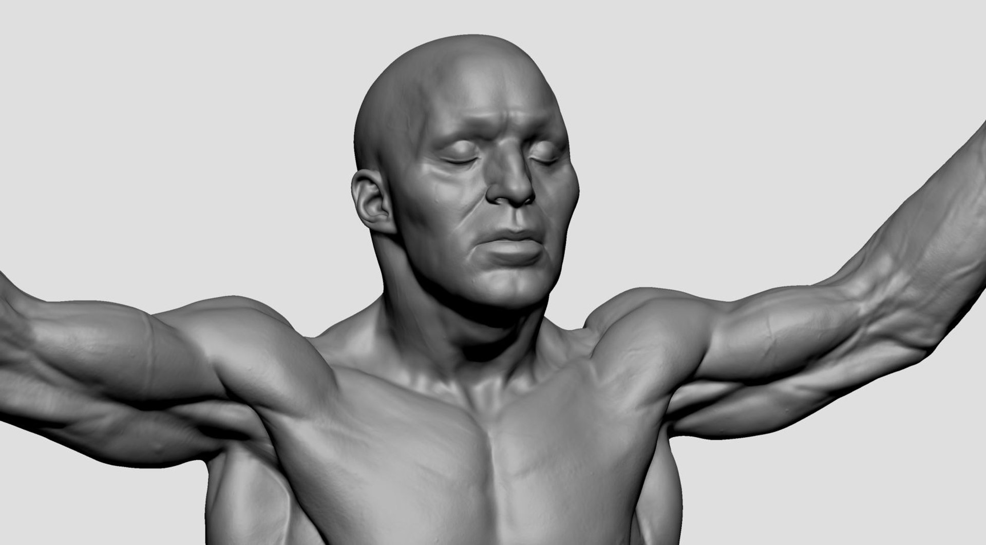 Human Anatomy Printable A 3D - TurboSquid 2202888