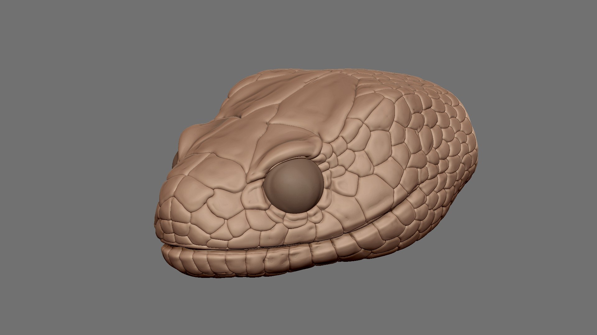 3D HIGHLY Detailed Snake Head OBJ - TurboSquid 2239957
