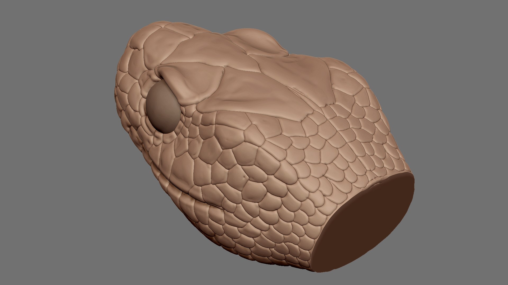 3D HIGHLY Detailed Snake Head OBJ - TurboSquid 2239957