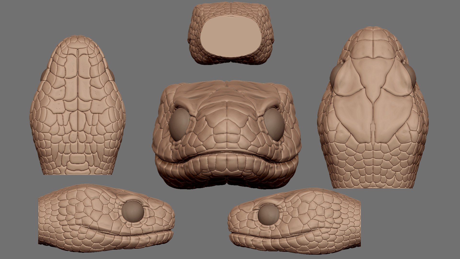 3D HIGHLY Detailed Snake Head OBJ - TurboSquid 2239957
