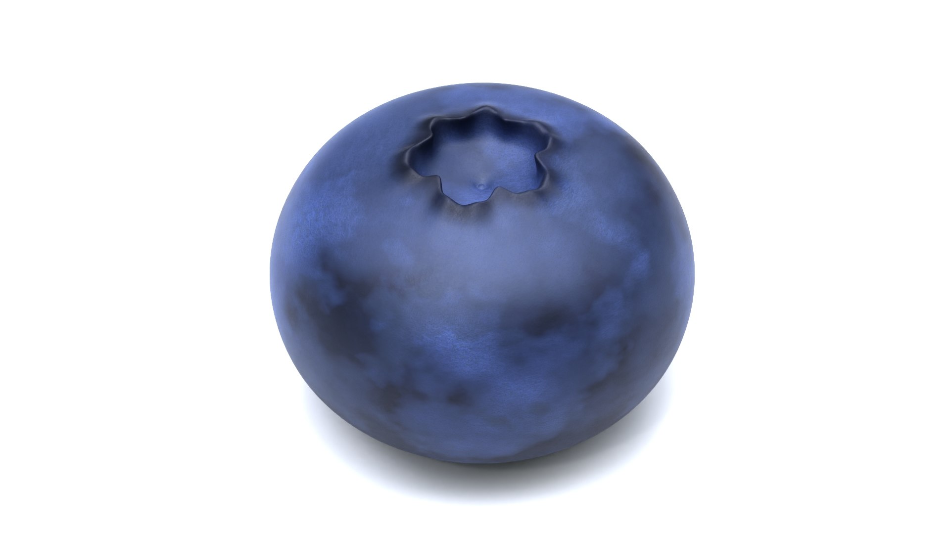 Free Blueberry Free 3D Model - TurboSquid 2060833