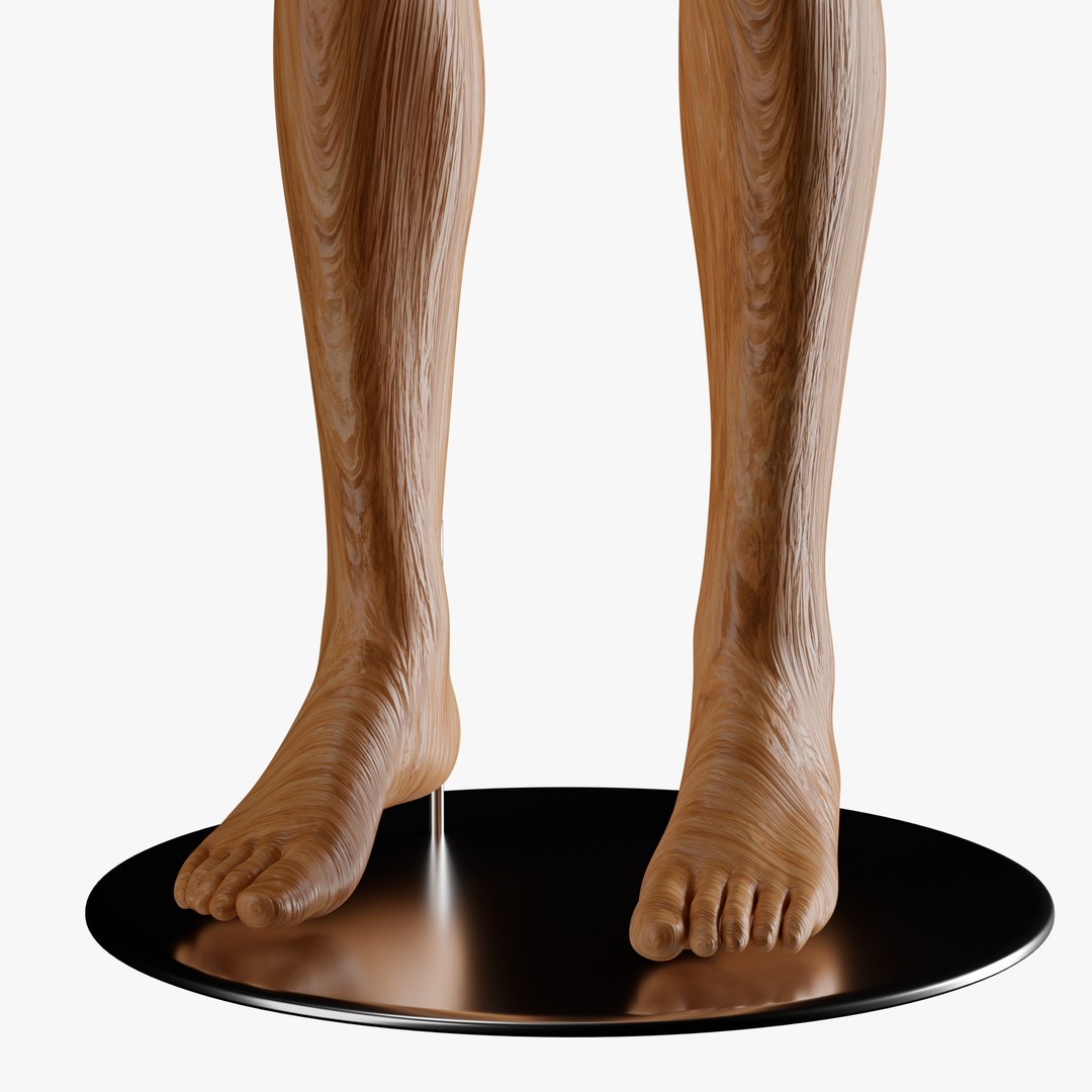 3D Rigged Sewing Male Mannequin - TurboSquid 2081022