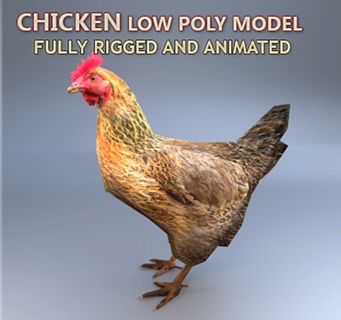 Chicken Rigged Animations 3d Model