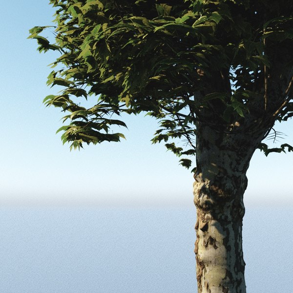 3D spring classical architectural exterior model - TurboSquid 1443310