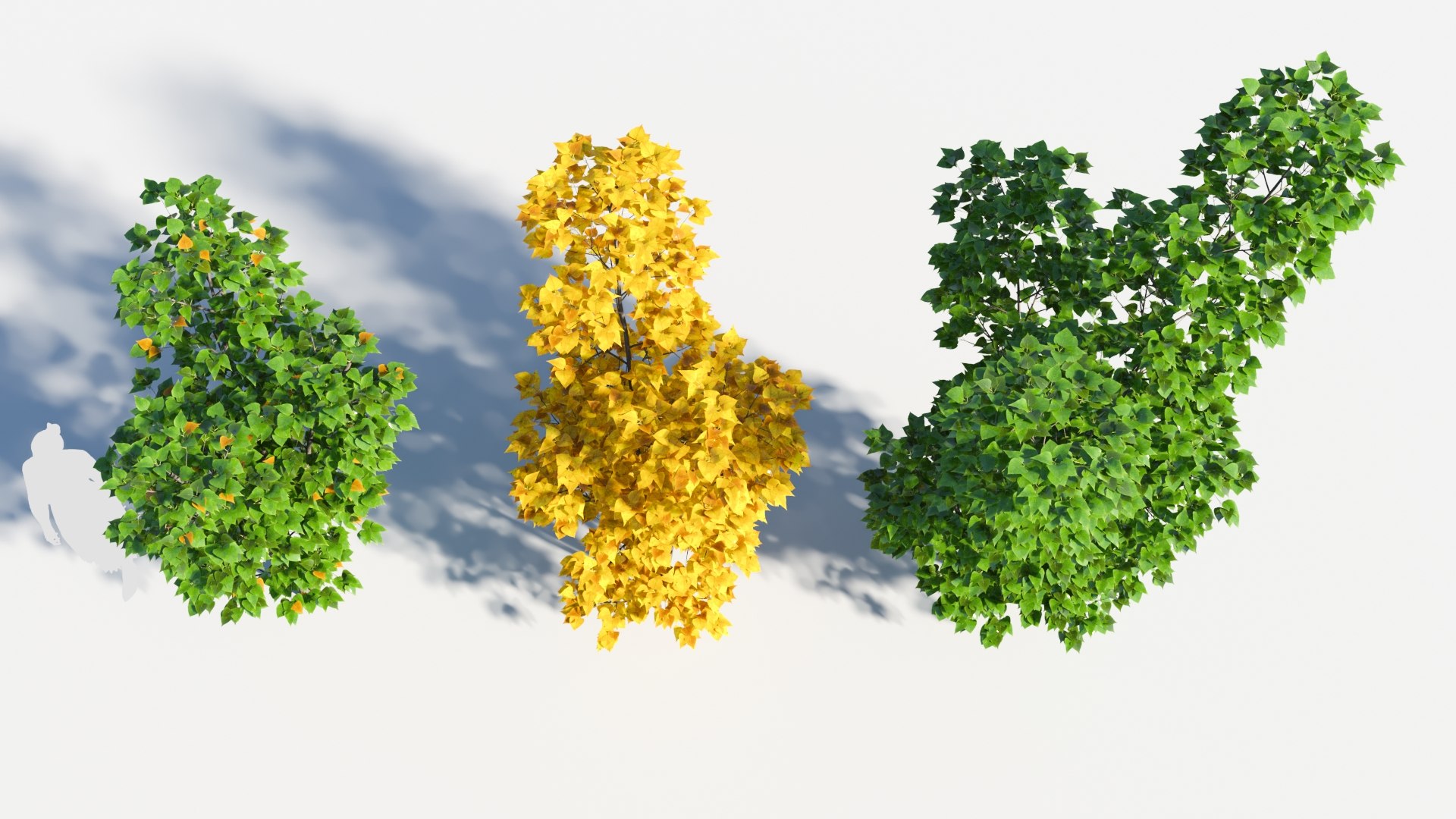 3D Model Populus Balsamifera Tree-3 - TurboSquid 2085082