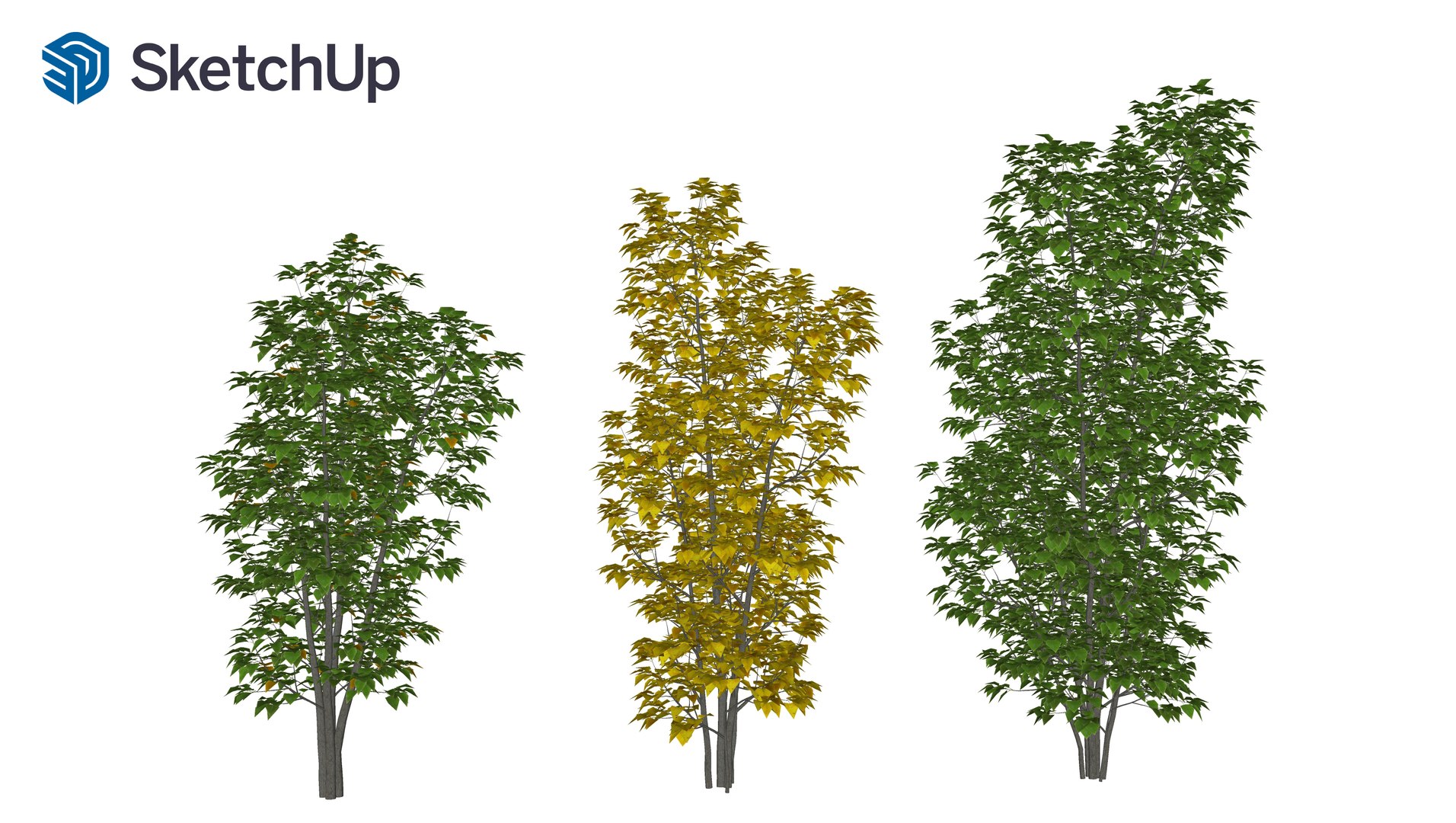 3D Model Populus Balsamifera Tree-3 - TurboSquid 2085082