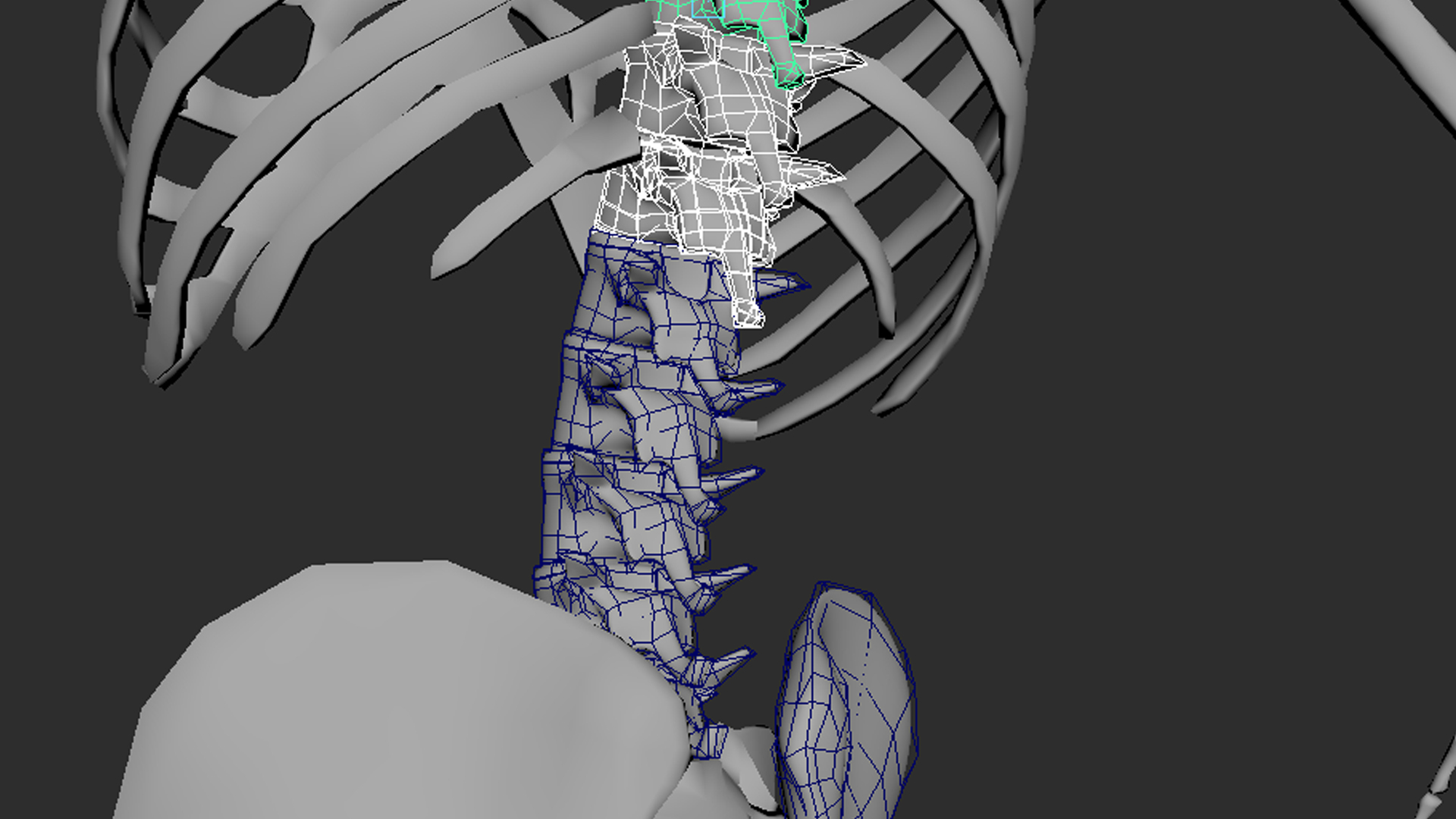 Skeleton 3D model - TurboSquid 1705079