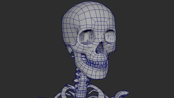 modèle 3D de Squelette - TurboSquid 1705079