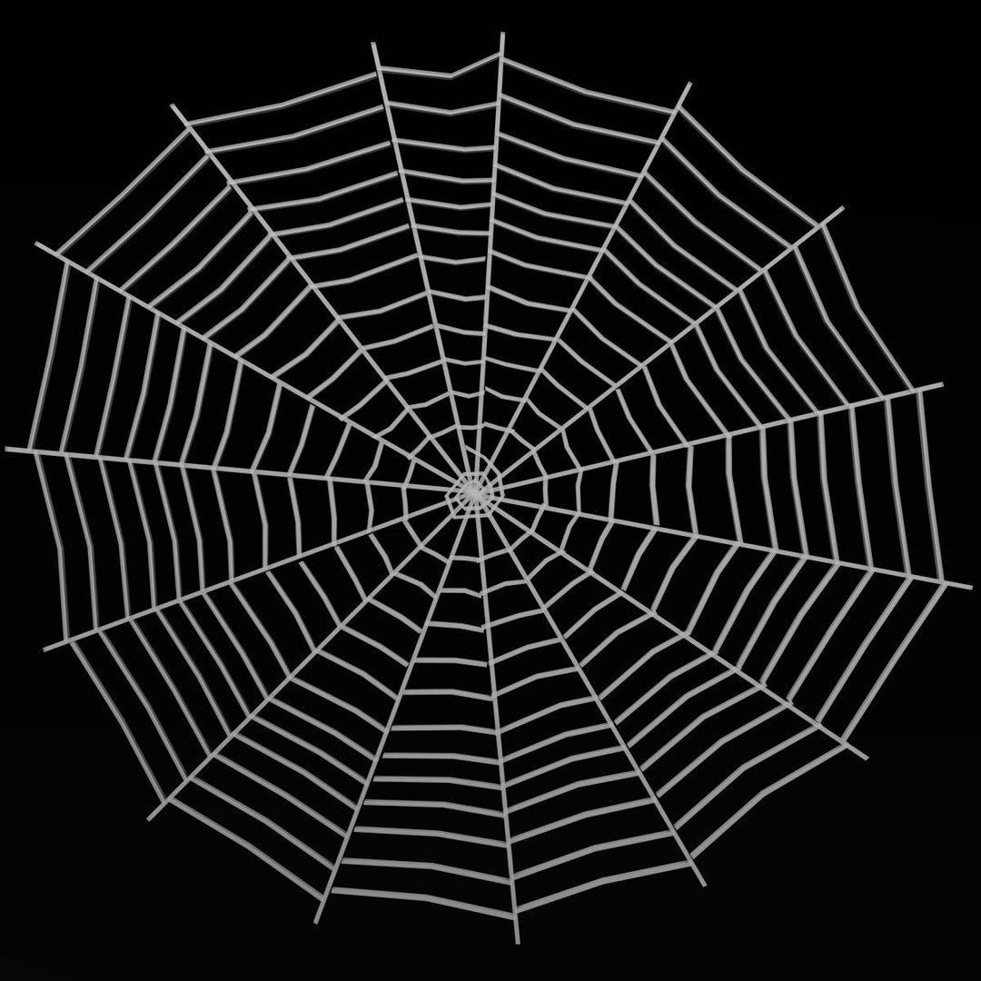 Maya Spider Spiderweb Web