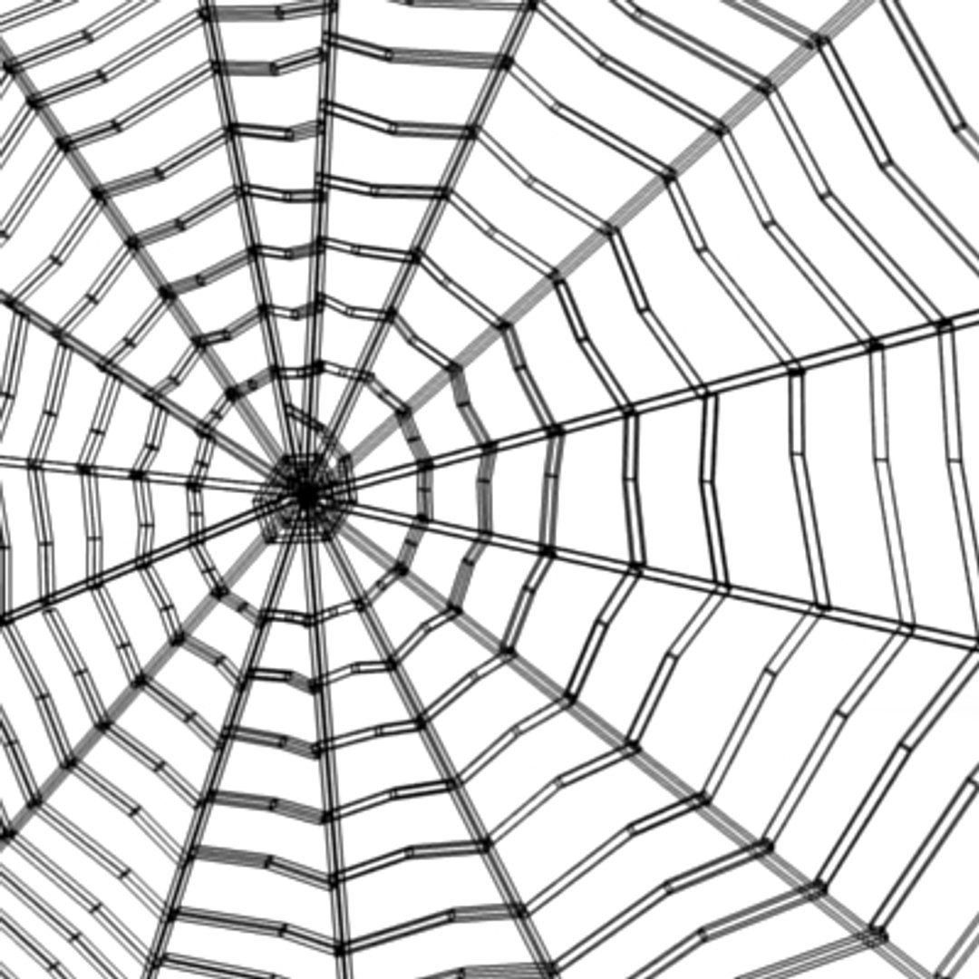Maya Spider Spiderweb Web