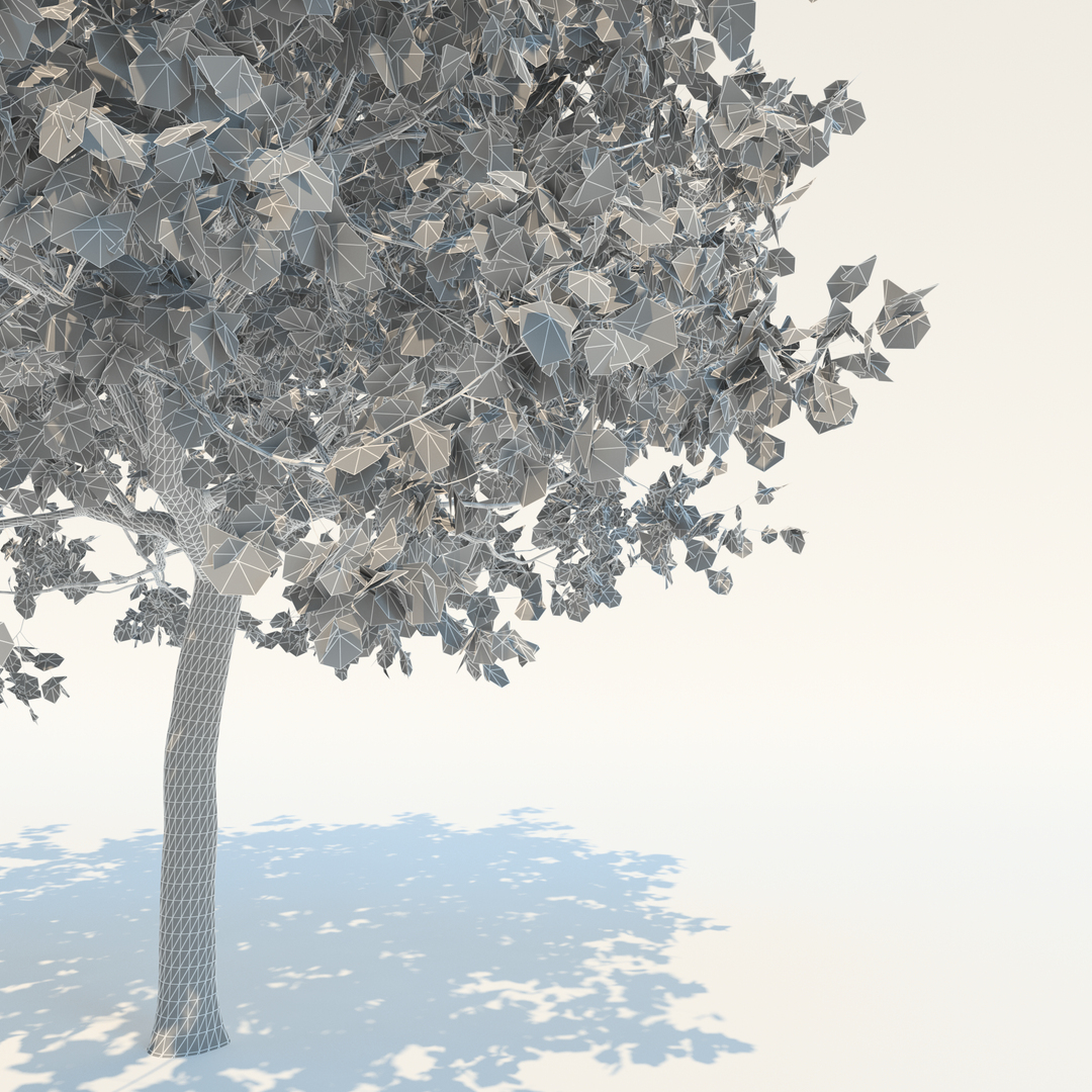 3D Maple model - TurboSquid 1720519