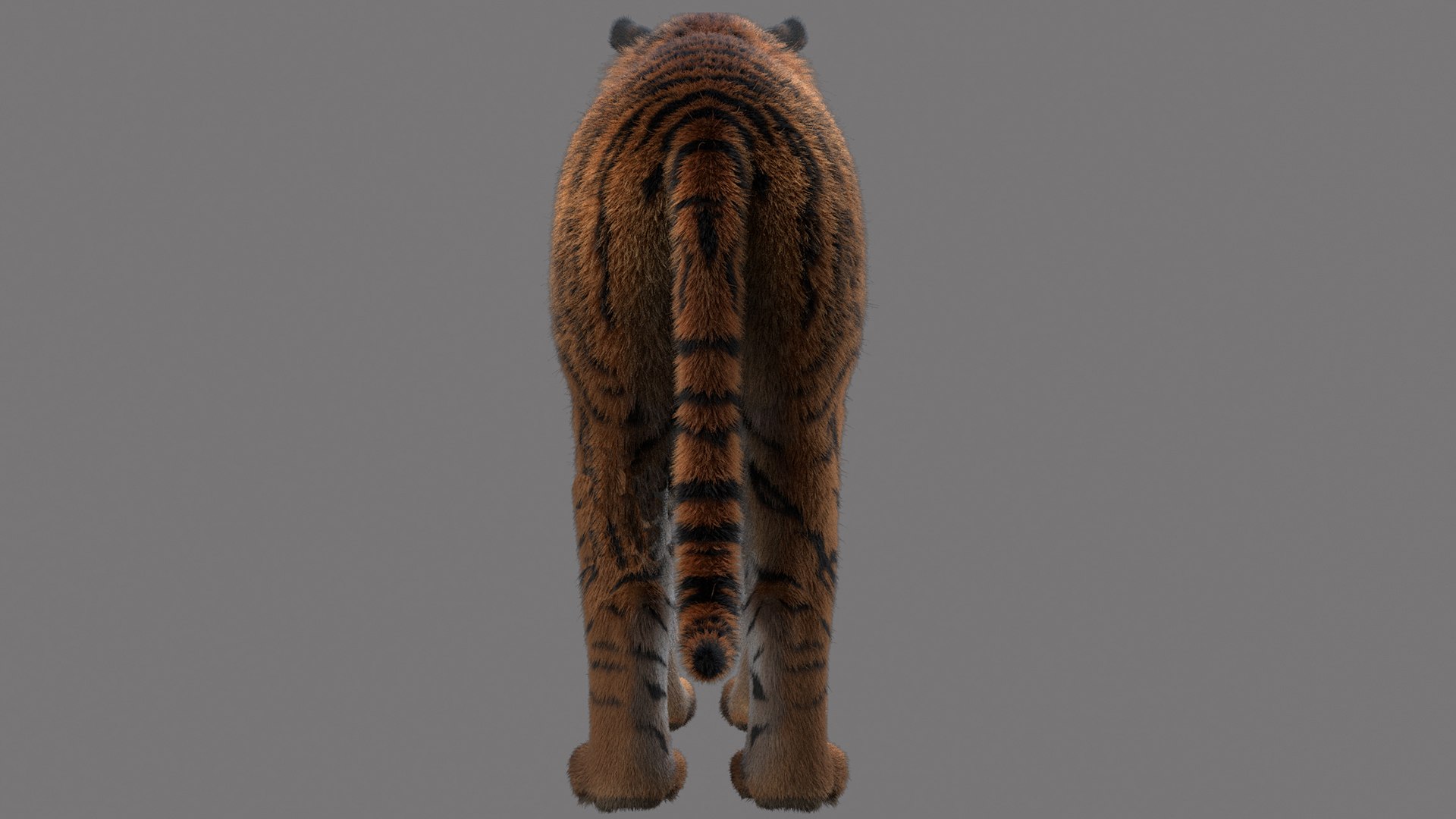 3D Model Tiger - TurboSquid 2276525