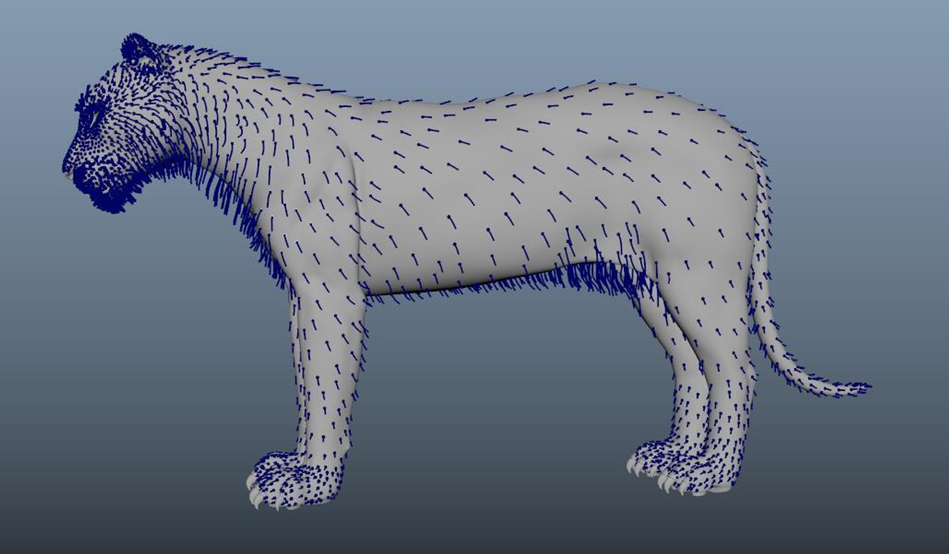 3D Model Tiger - TurboSquid 2276525