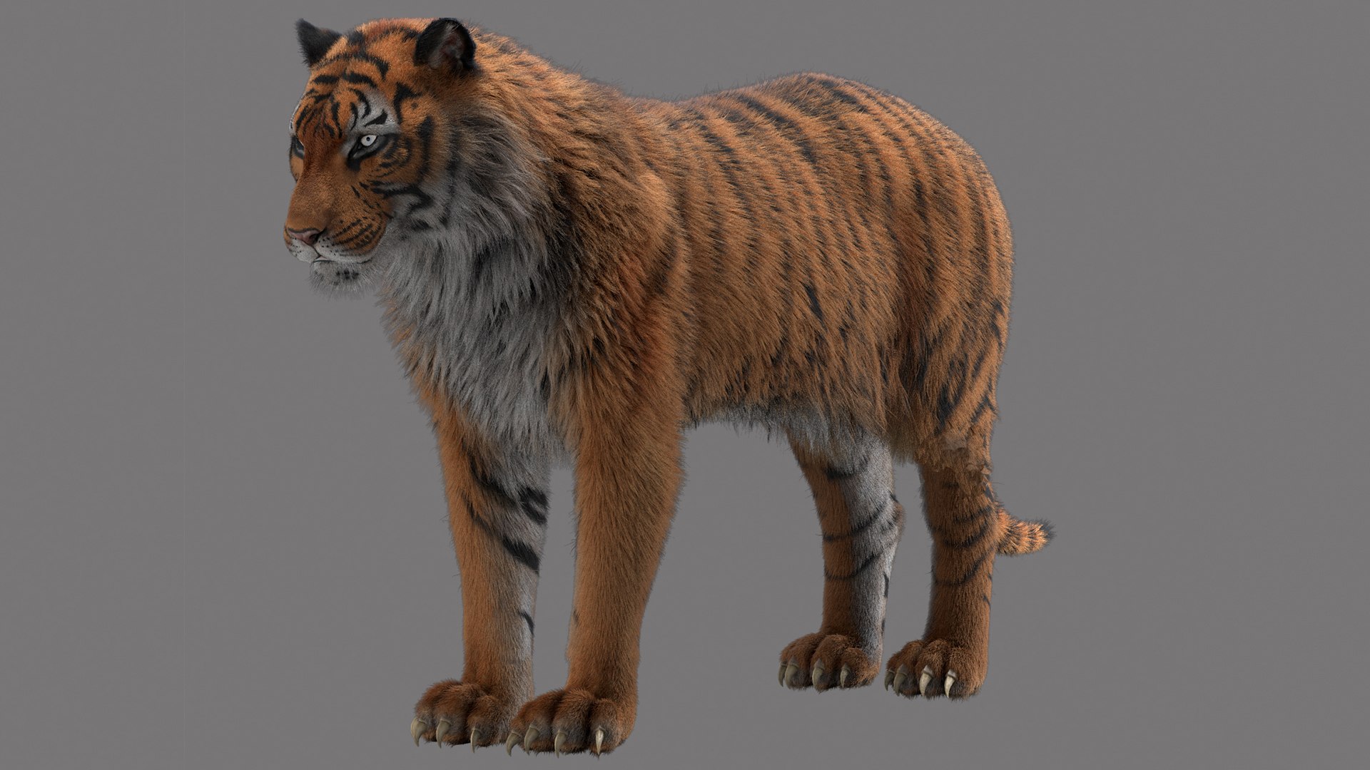 3D Model Tiger - TurboSquid 2276525