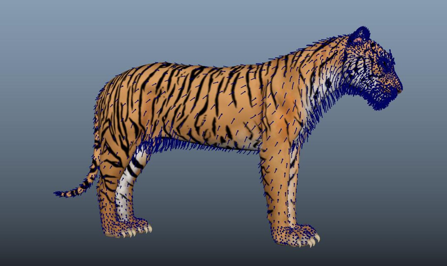3D Model Tiger - TurboSquid 2276525